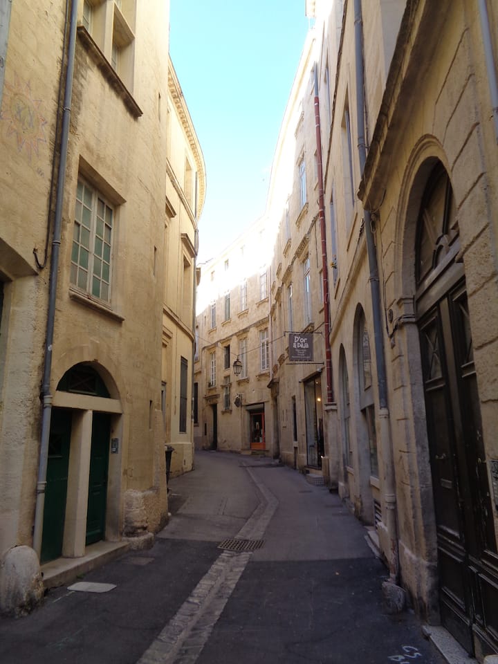 Chambre La Baronesse Dans Un Apartement Historique - Montpellier