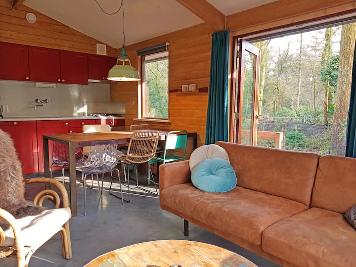 Vakantiebungalow De Leeuwerik - Arnhem
