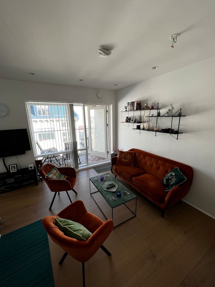 Nice Studio Downtown Reykjavik.
Hg-00017746 - Reykjavík