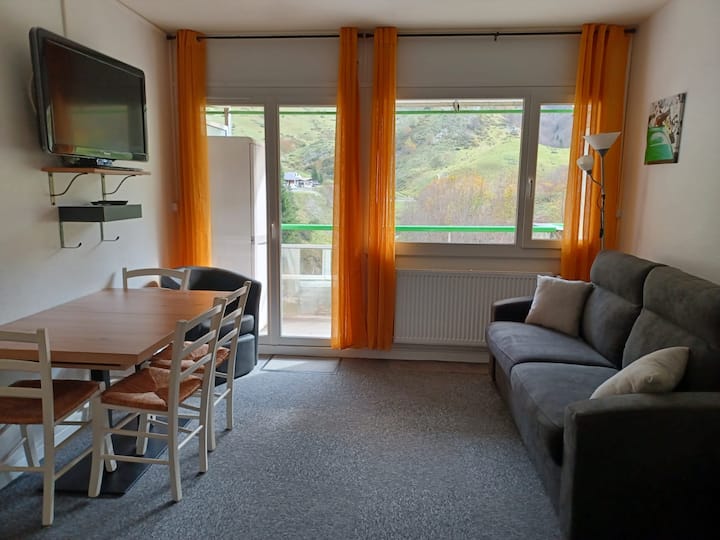 Studio 5/6 Pers Pied Des Pistes Tout Confort - Station d'Artouste