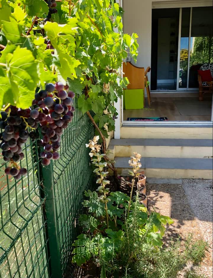 Appartement Centre Ville De Calvi - Calvi