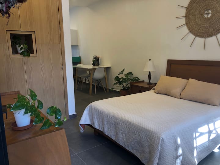 Departamento Céntrico “B” - Ladron De Guevara - Zapopan