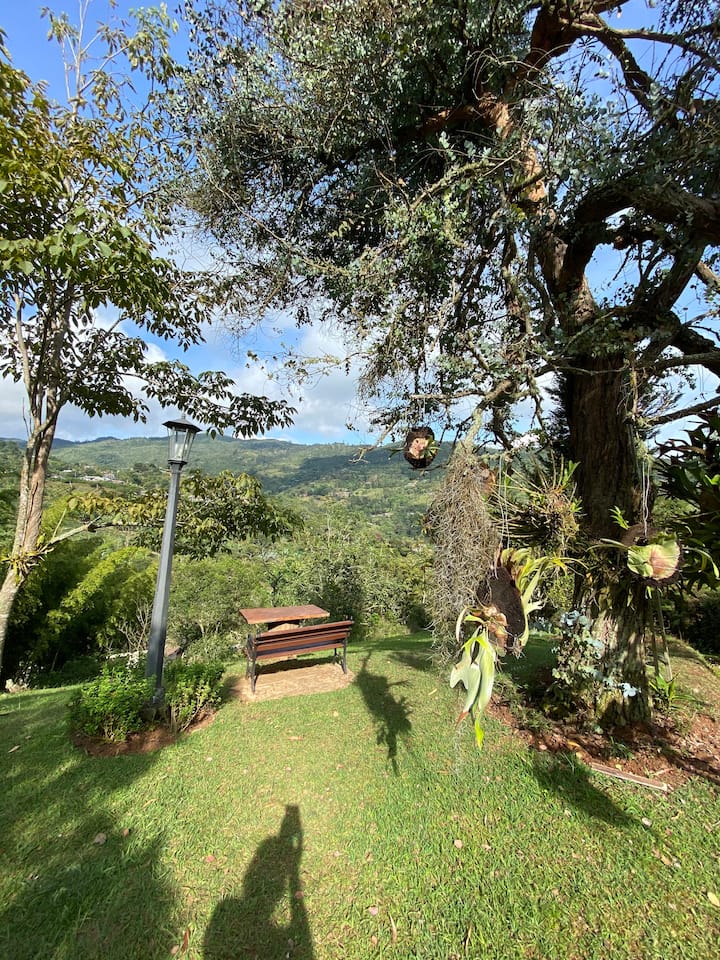 Birdwatching Paradise - 120+ Species Near Cali - Colombia