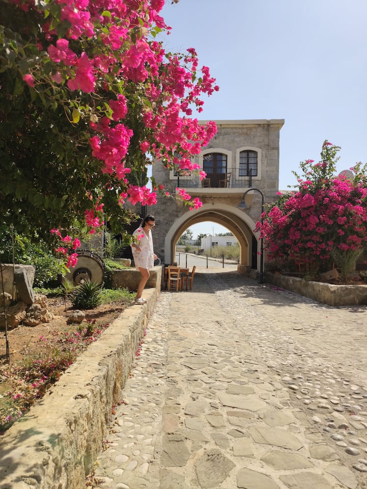 Karpaz Arch Houses - Cyprus