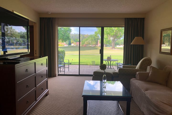 2b 2b Golf Court View Condo At Saddlebrook - Wesley Chapel, FL