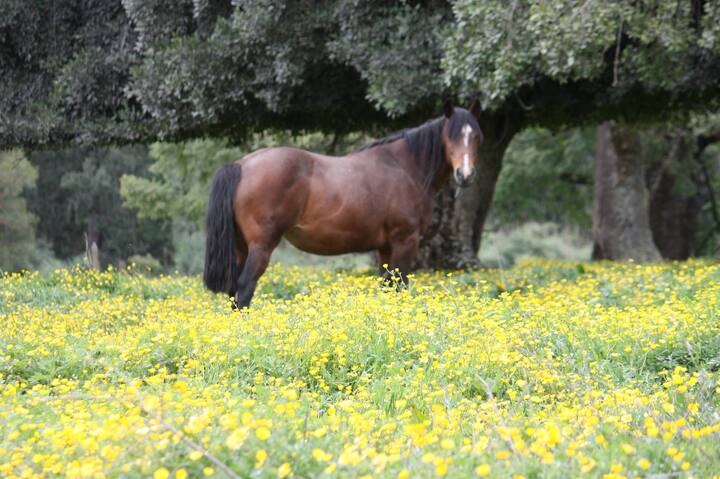 3 Best Ranches To Stay In Patagonia | Trip101