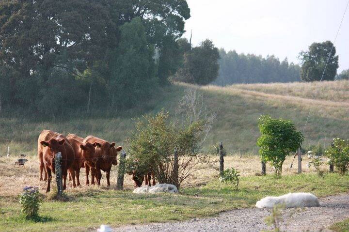 3 Best Ranches To Stay In Patagonia | Trip101