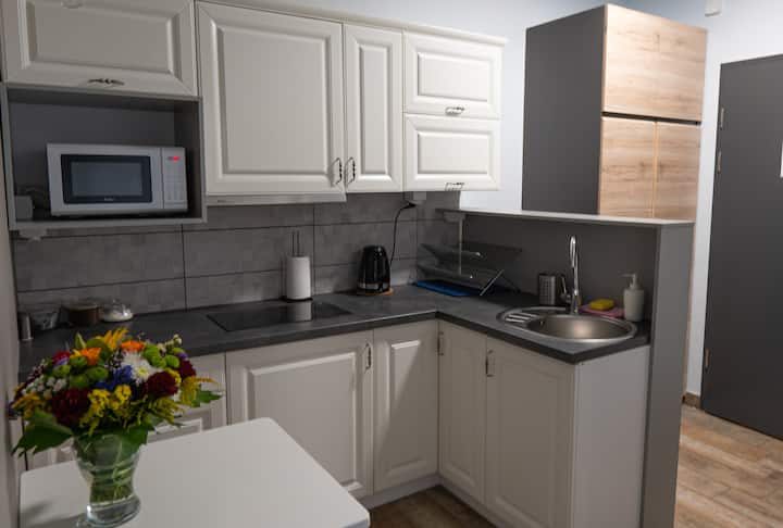 Przestronny Apartament 101 Przy Starym Rynku - Poznań