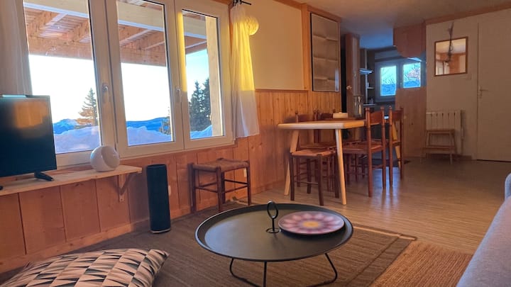 Dans Un Chalet : Appart. 3 Pièces / 4-6 Couchages - Chamrousse