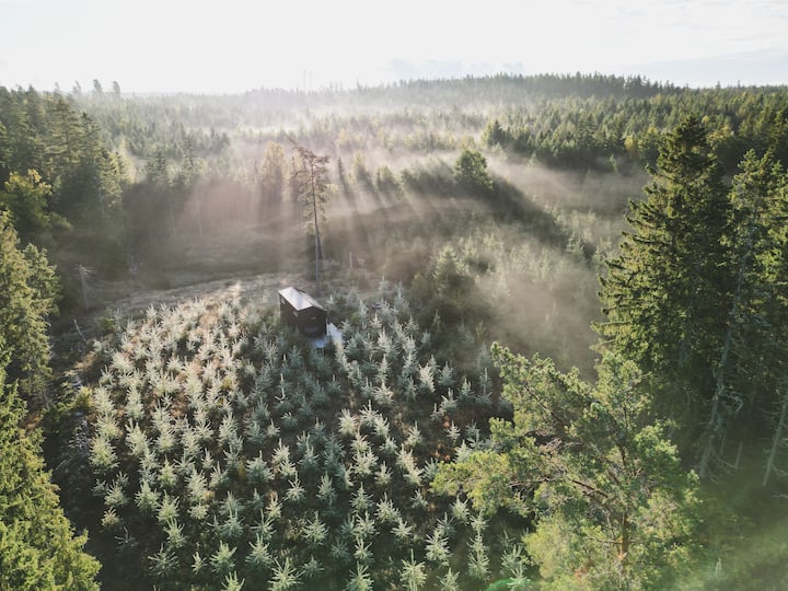 Tiny House Ebbe - Hjo