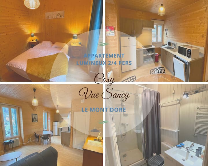 Chez Cédric Et Fanny Le Mont Dore Vue Sancy - Chambon-sur-Lac