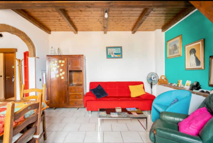 Bella Pianta Home _ The Place To Stay - Livorno