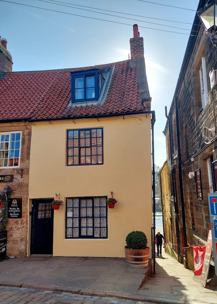 Seal, Comfy Family Cottage In The Heart Of Whitby - Ravenscar