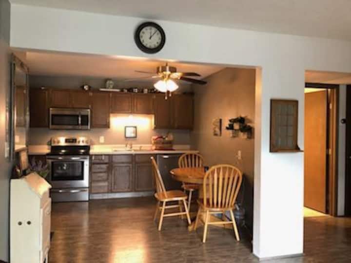 Sioux Falls Apartment Clean Quiet Comfortable - Sioux Falls, SD