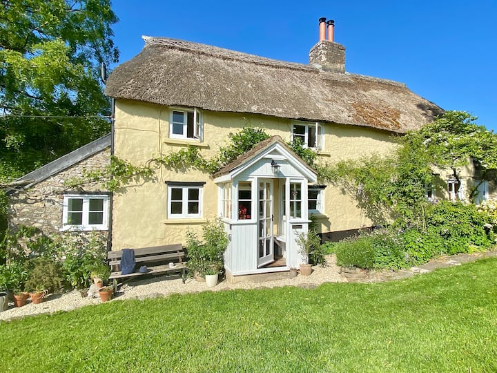 Historic Devon Thatched Cottage - Honiton