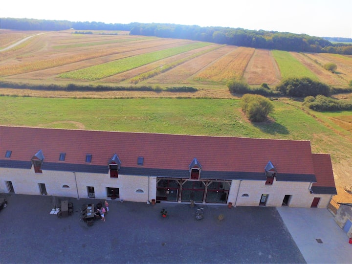 Corps De Ferme Rénové 300 M2 - Montbazon
