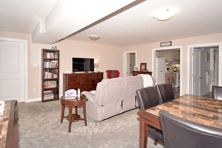 Brand New Home - Basement Comfy Room - St. Thomas