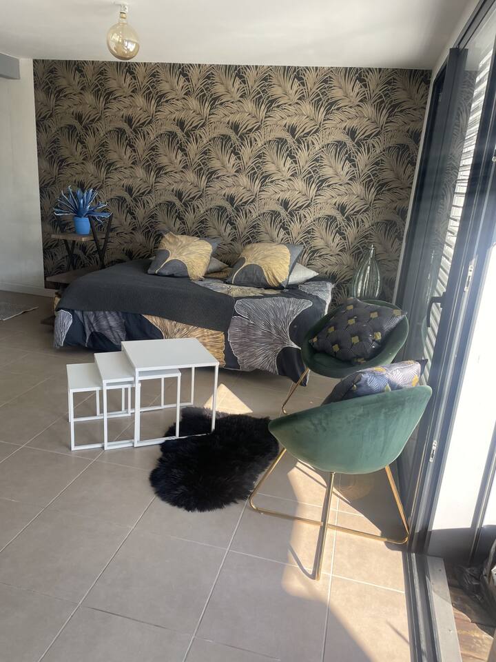 Studio Allonzier La Caille - Cruseilles