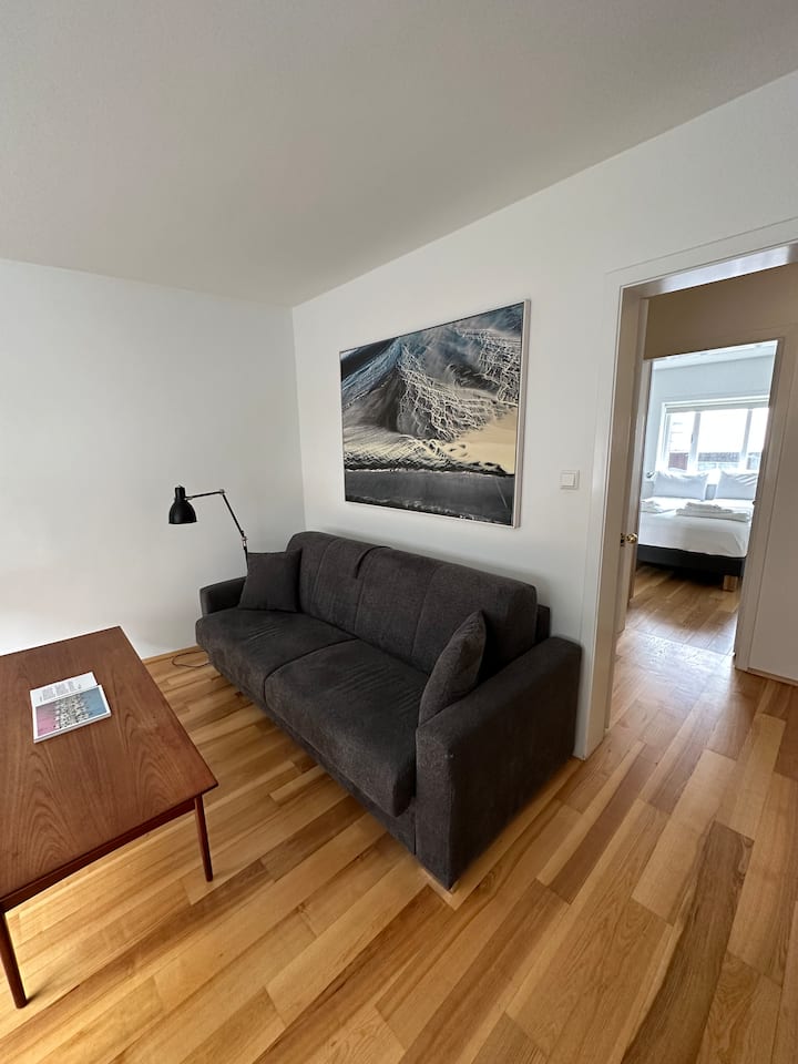 Cozy Central Apartment In The Heart Of Reykjaviks City Center - Reikiavik