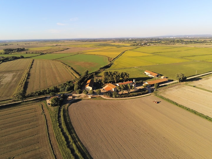 Gîte Le Cigalon  « Les Pieds En Camargue » - 亞爾