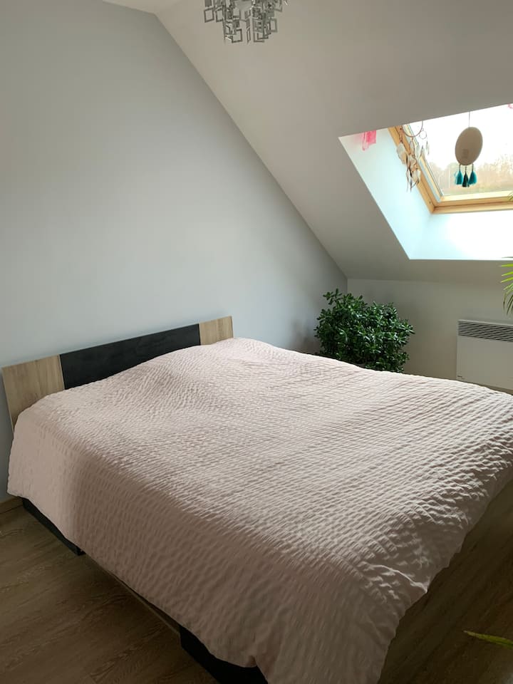Chambre Chez Particulier Près Du Circuit Des 24 H - Le Mans