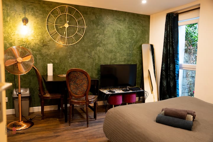 Studio à Strasbourg - 5 Min Conseil De L'europe - Strasbourg