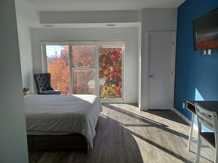 South Pandosy Village - The Modern Studio - Canada