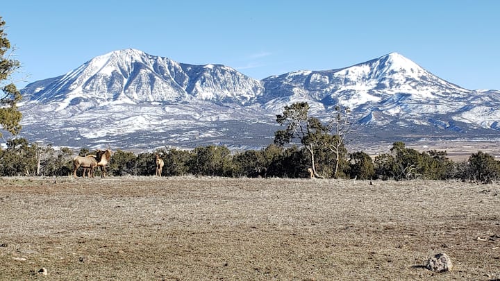Solar Ranch Stays Swpt - Colorado