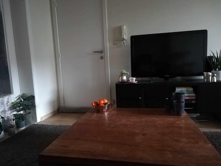Appartement In
Hartje Mechelen - Mechelen