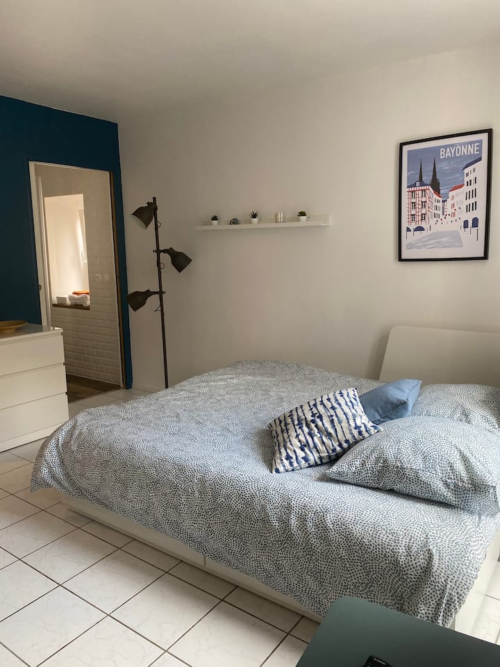 Agréable Studio Situé Dans Bayonne - Bayonne