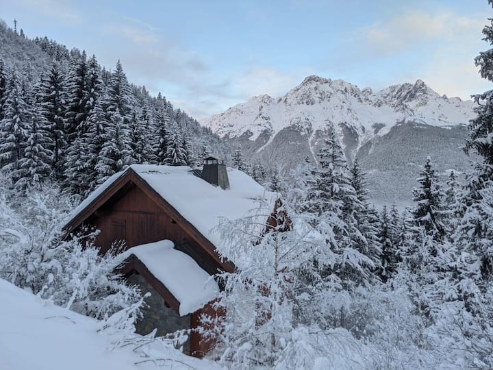 Ski-in/ski-out Privately Owned Chalet - L'Alpe d'Huez