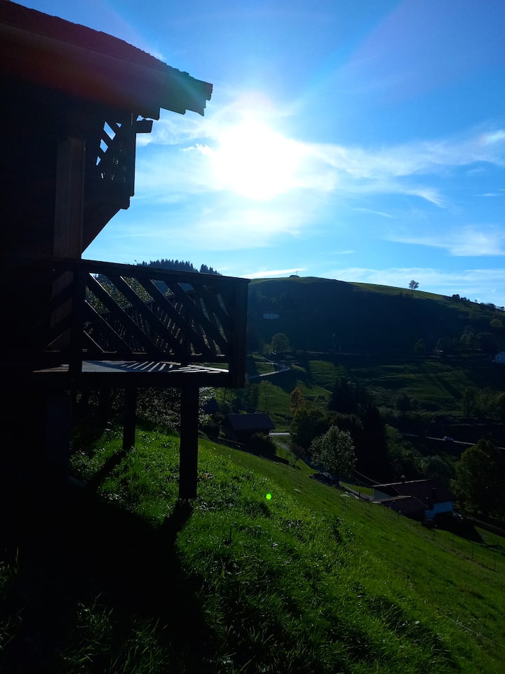 Chalet "La Vallée" à La Bresse - La Bresse