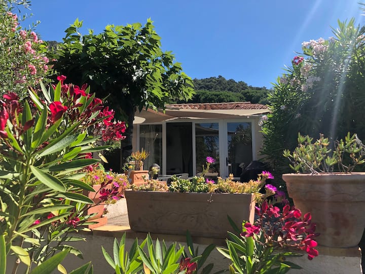 Mazet à 2 Pas De La Plage De St Clair - Le Lavandou