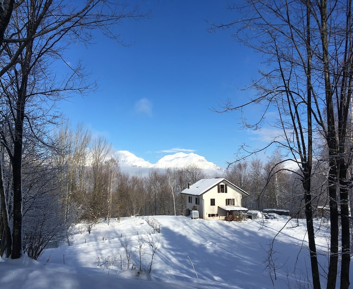 Casa Betulla - Minialloggio - Belluno