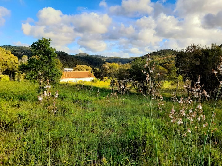 Vale Da Lua - Off Grid Odeceixe - Odeceixe