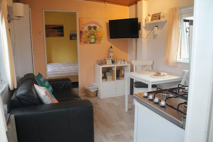 Schönes Ferienhäuschen Im Zentrum Von Zoutelande - Zoutelande