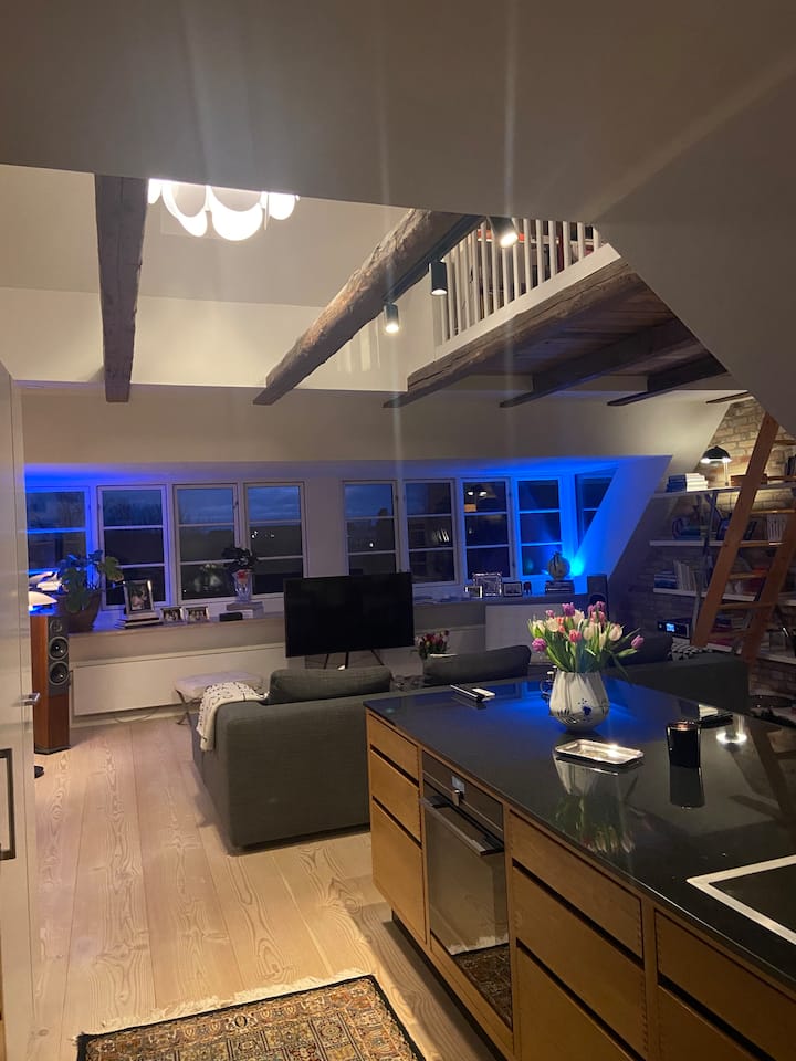 1 Bedroom In Luxury Apt With Free Parking - Copenhague