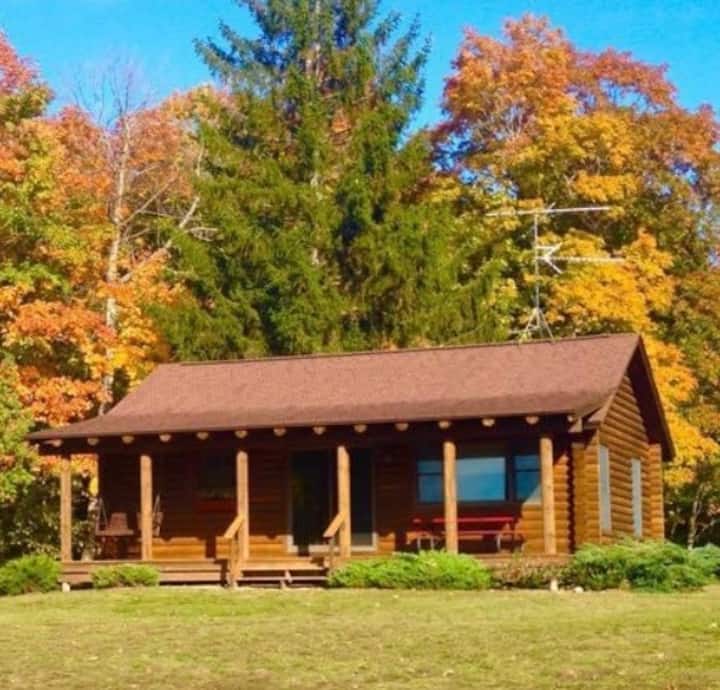 Torch Lake Log Cabin - Torch Lake, MI