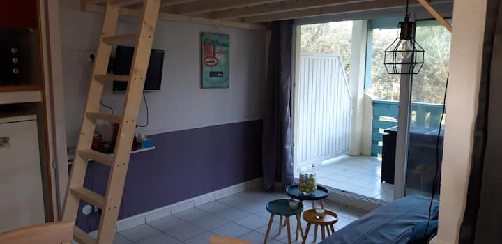 Appartement Moliets - Messanges