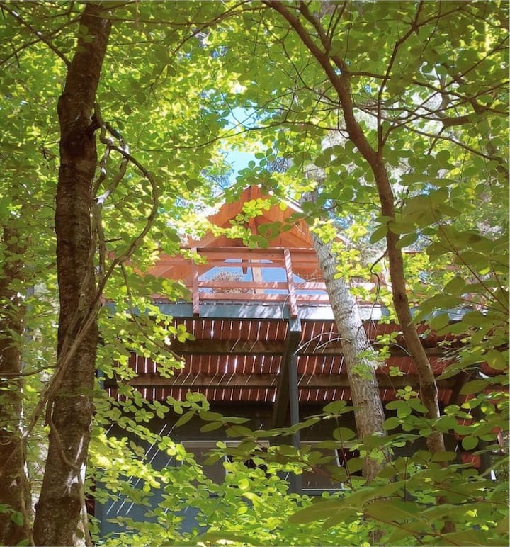 The Sky Forest Cabin- A Secluded Lake View A-frame - San Bernardino, CA