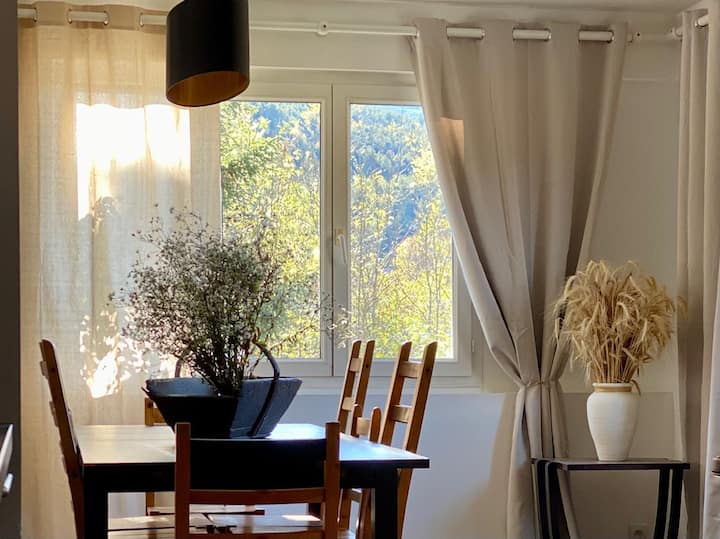 La Maison Bleue - Lac de Serre-Ponçon