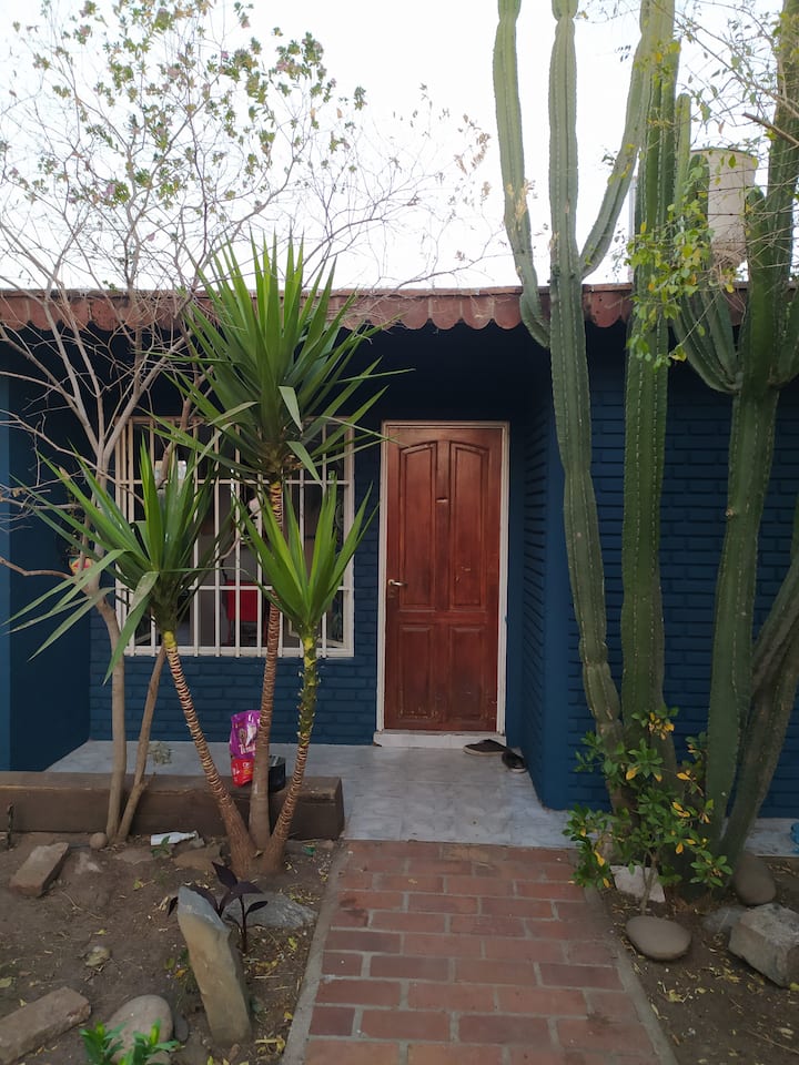 Colores De Arguello - 