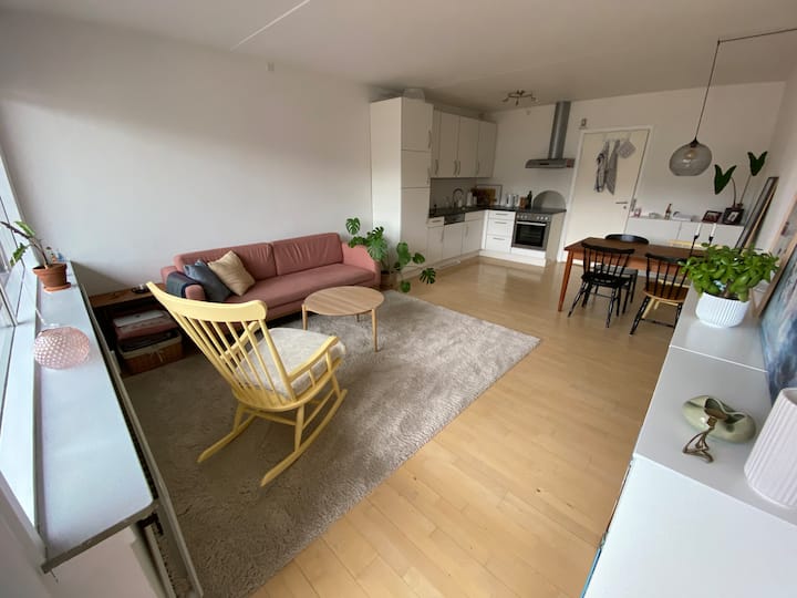 Nørrebro Lejlighed Med Altan. - Copenhaguen