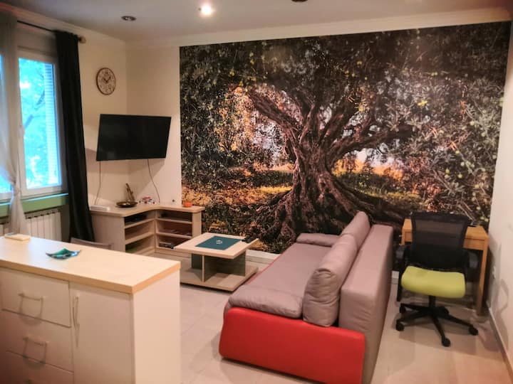 Olive Tree Apartment, Belgrade City Center, Vračar - Belgrade