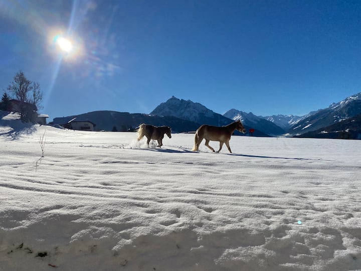 Chalet Apartment | Impressive Mountain Panorama - Tirol