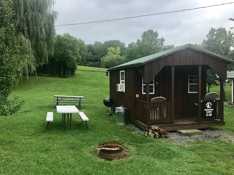 Watkins Glen Cabin Vacation Rentals - New York, United States | Airbnb