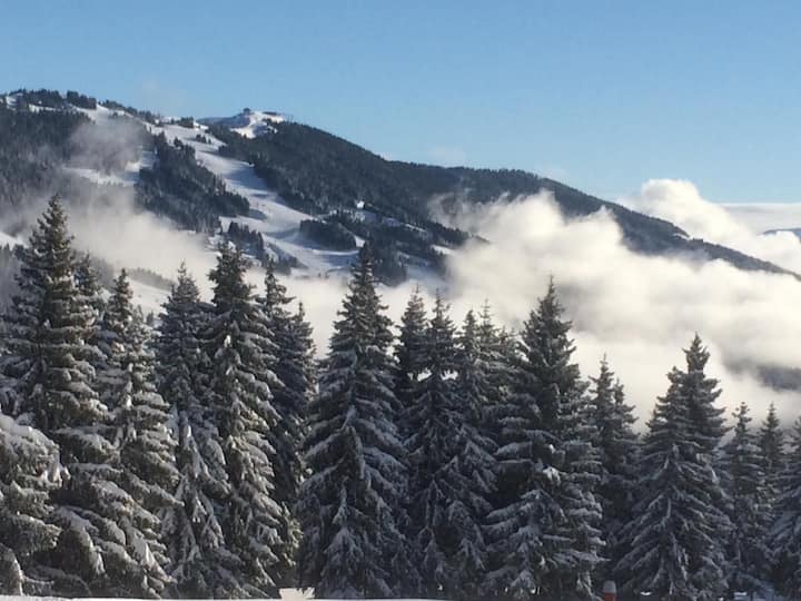 Studio Alpine Sun - Haus Domicil Top 49 - Saalbach-Hinterglemm