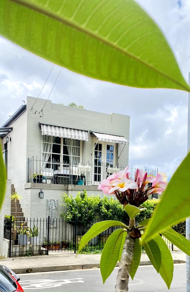 Fur Baby Paradise! - Camperdown