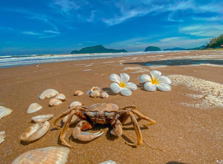 Baan Golden Residence 2 Bedrooms Monthly Rental - Sam Roi Yot