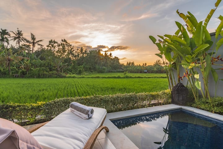 Villa Shiva-private & Modern Style Villa In Lovina - Buleleng